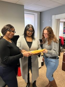 Delaware Registered Agent | $29 a Year | Free Mail Forwarding